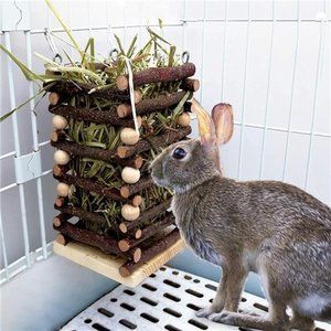 Small Pets | Hanging Apple Wood Rabbit Hay Feeder Wooden Grass Shelf ...